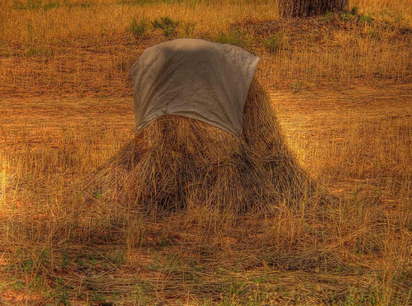 Hay Stooks album | ooO(PETER)Ooo | Fotki.com, photo and video sharing ...