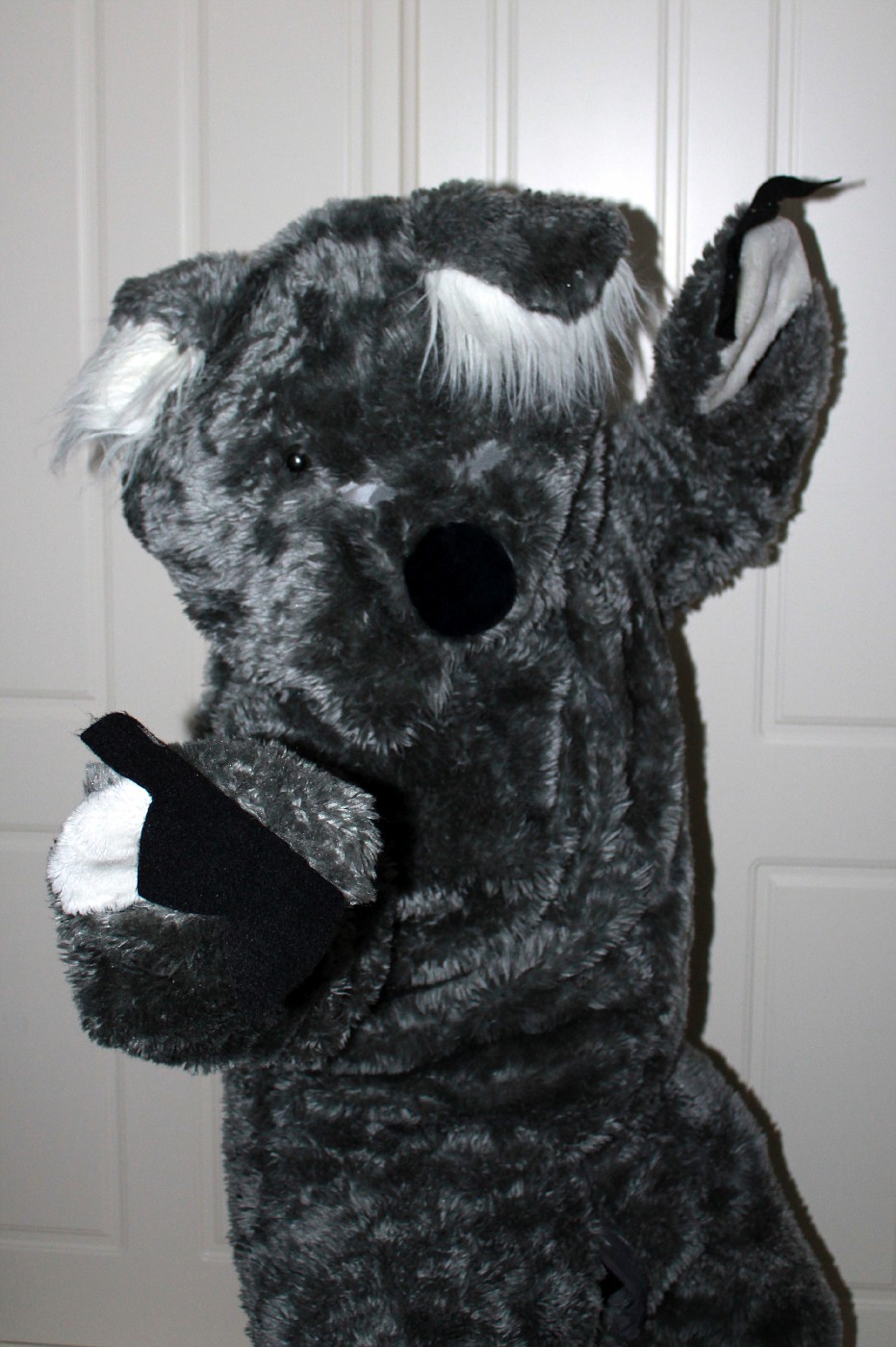 Photo: Koala Jack 003 | Visual Diary album | ooO(PETER)Ooo | Fotki.com ...