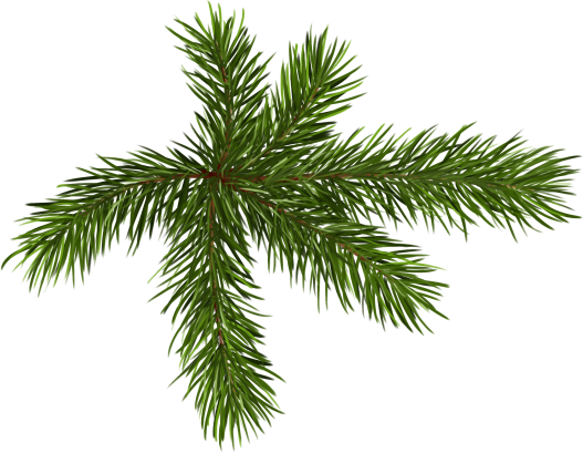 Photo: 02 (2) | First Frost album | Jossie | Fotki.com, photo and video ...