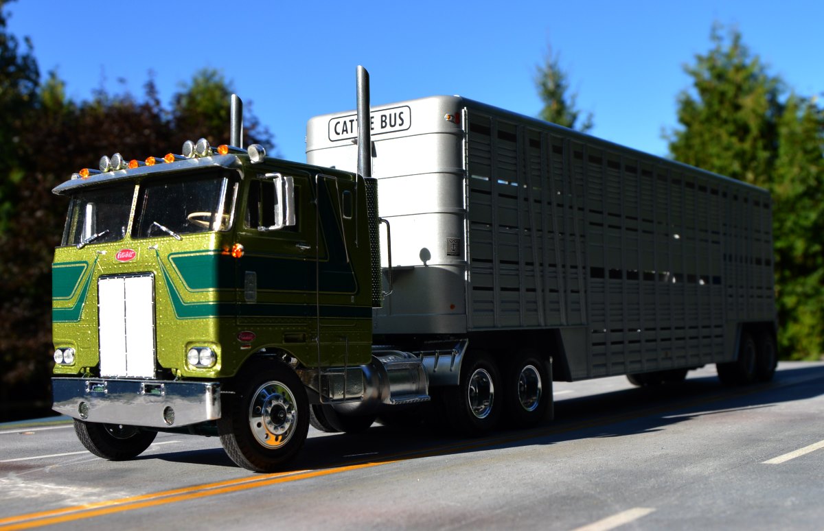 Photo: DSC 6200 Wilson Cattle Bus | Wilson Livestock Trailer - The 2018 ...