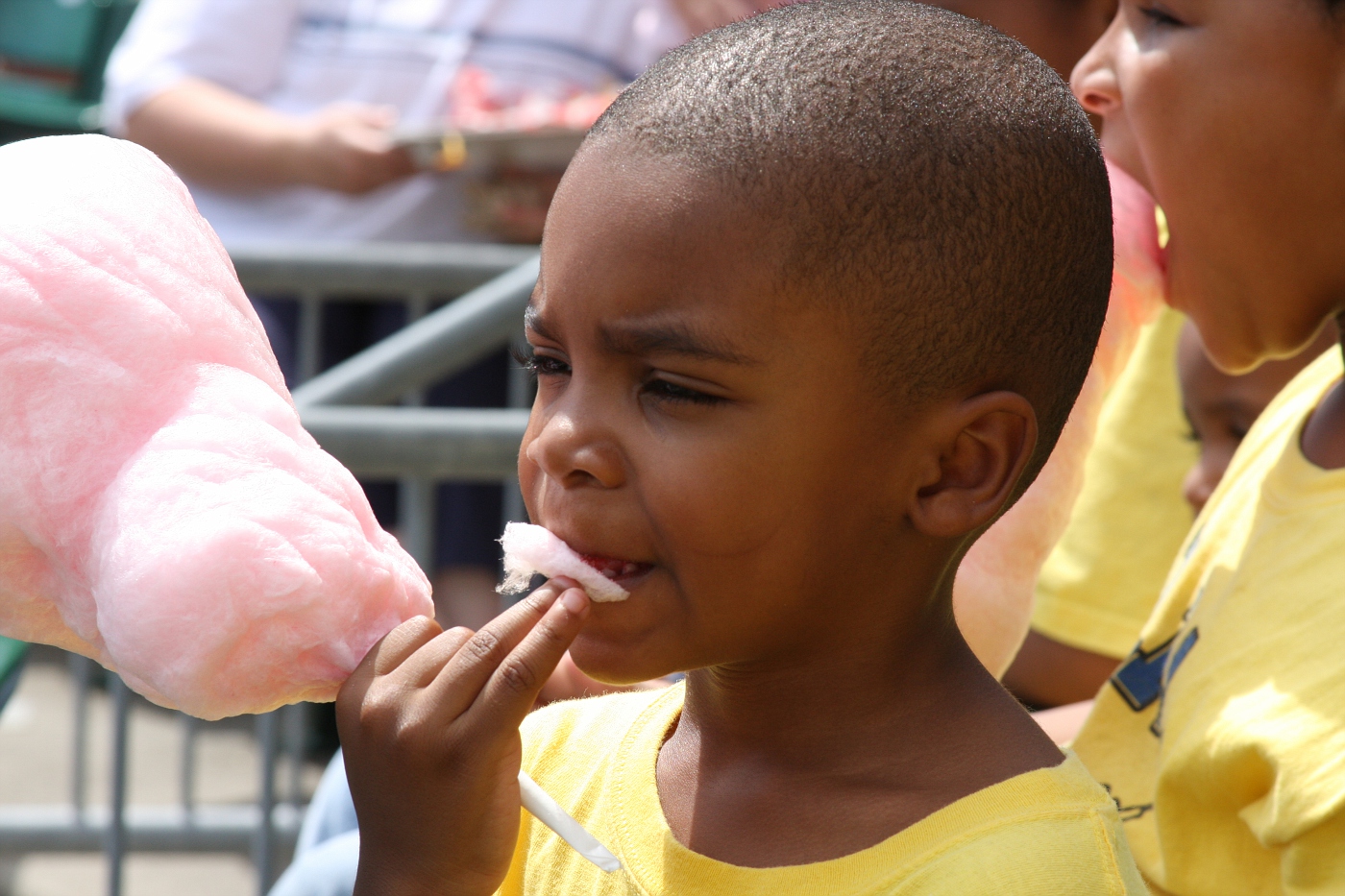 Bluefish Stadium (Week 7) album | Pmafapics | Fotki.com, photo and ...