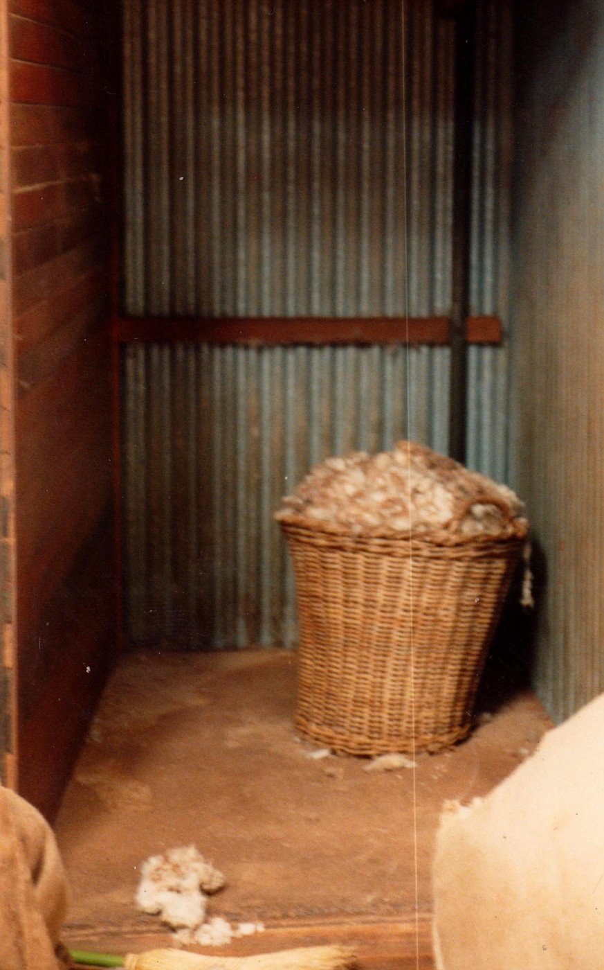 Photo: The last butt of AAA wool | Nonning Station album | ooO(PETER ...