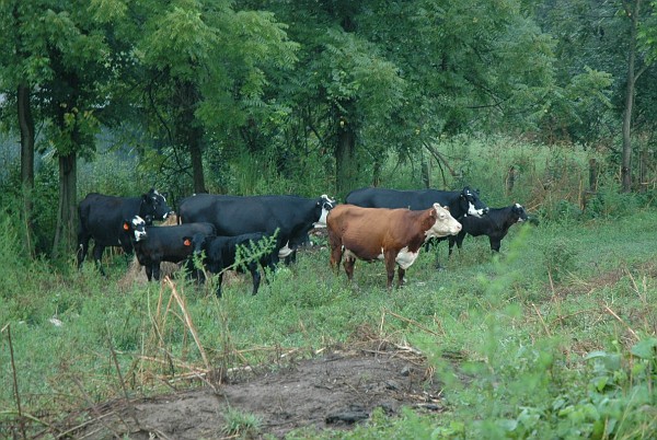 American Airlines Flight 383 Crash Site Hikes album | Rollie Puterbaugh ...