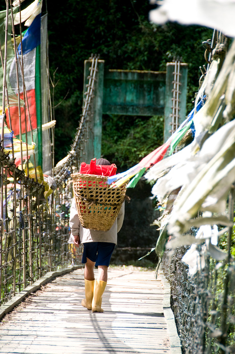 Photo: sikkim-nepal 537 | The Himalayas album | Kataram Studios | Fotki ...