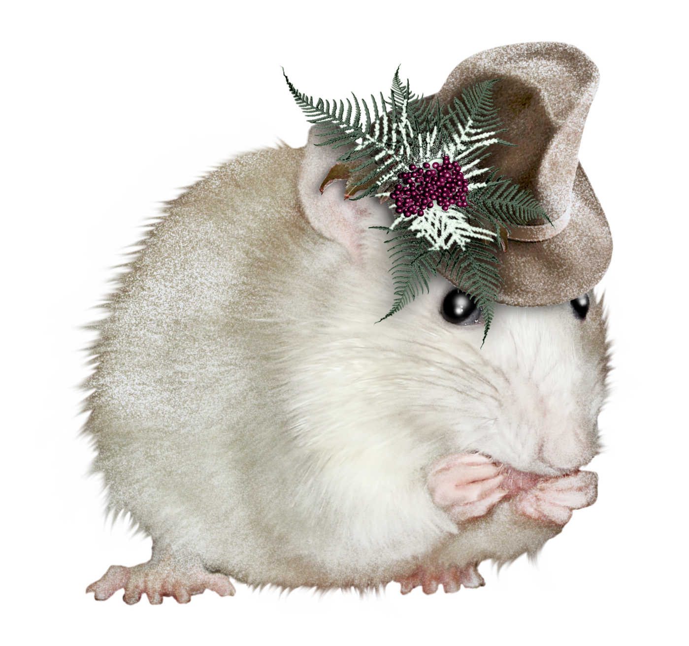 Photo: TP Mouse 01a | December album | Jossie | Fotki.com, photo and ...