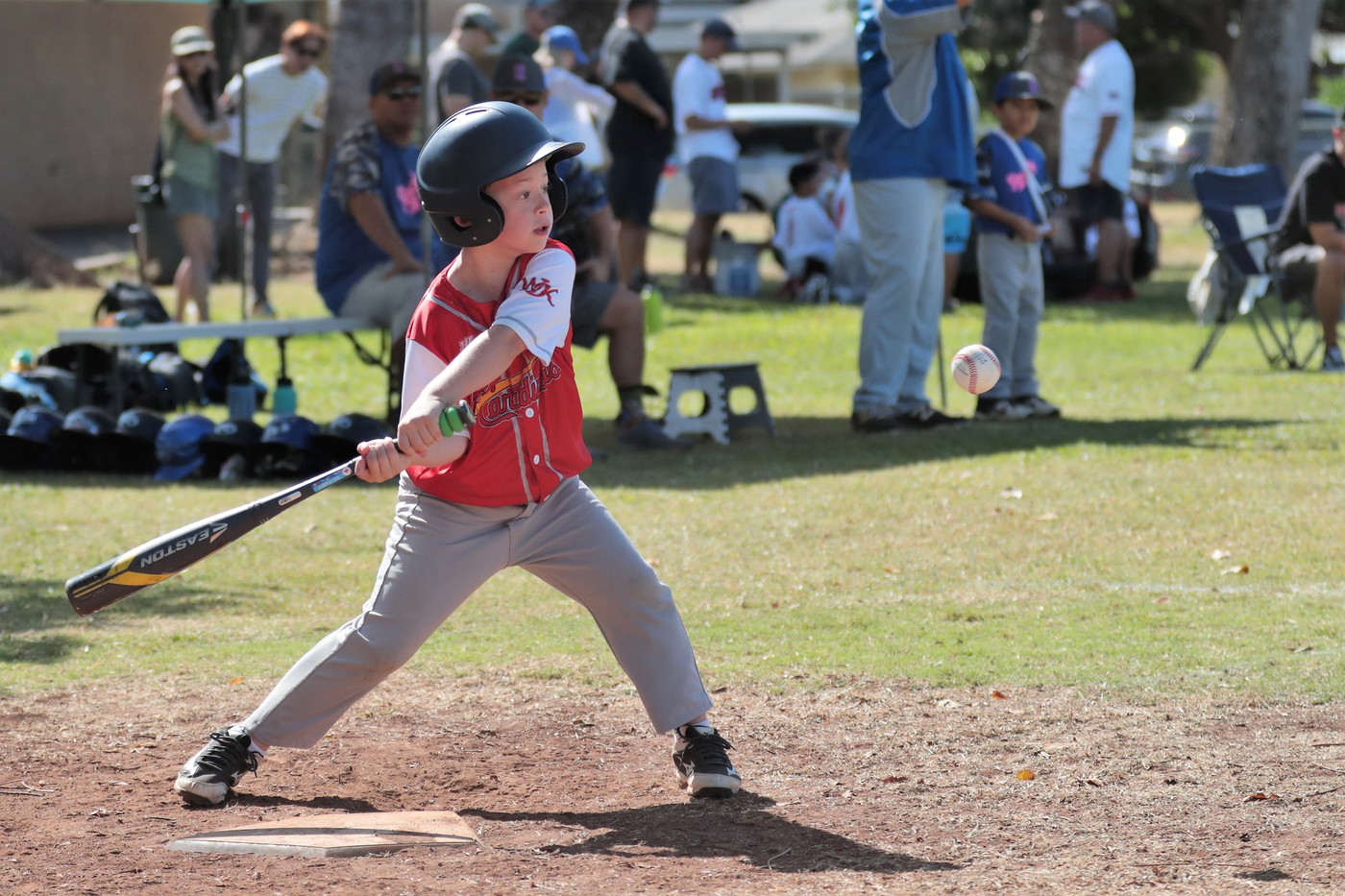 Photo: AM4I7305 (2) | Hawaii Diamond Head Pinto Baseball album ...