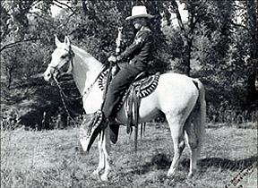 Photo: INDRAFF #1575 (*Raffles x *Indaia, by Raseem) 1938 grey stallion ...