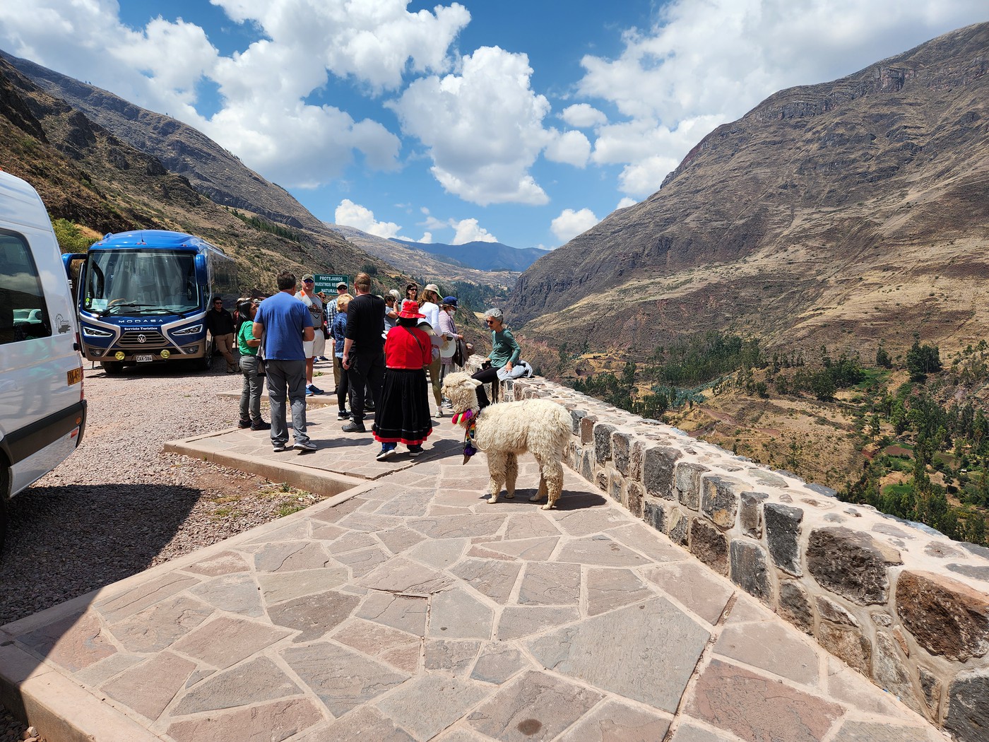 Photo: A Mountain Llama Stands with Tourists at the Taray Overlook West ...