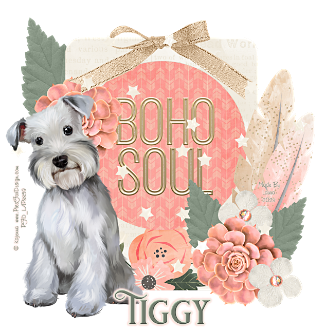 Photo: Kajenna-BS-323-Tiggy | 2023 TAGS TO SORT album ...