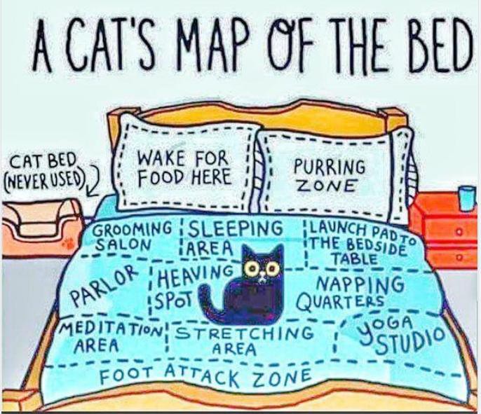 Photo: Kitty Map | Items of Interest (At least to me) album ...