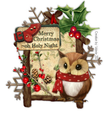 Photo: Christmas Owl 2021 | 2 album | Janet | Fotki.com, photo and ...