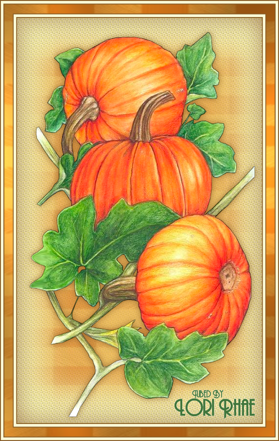 Photo: Ptrview From the Pumpkin Patch LR-9-23-21111 | Lori Rhae album ...