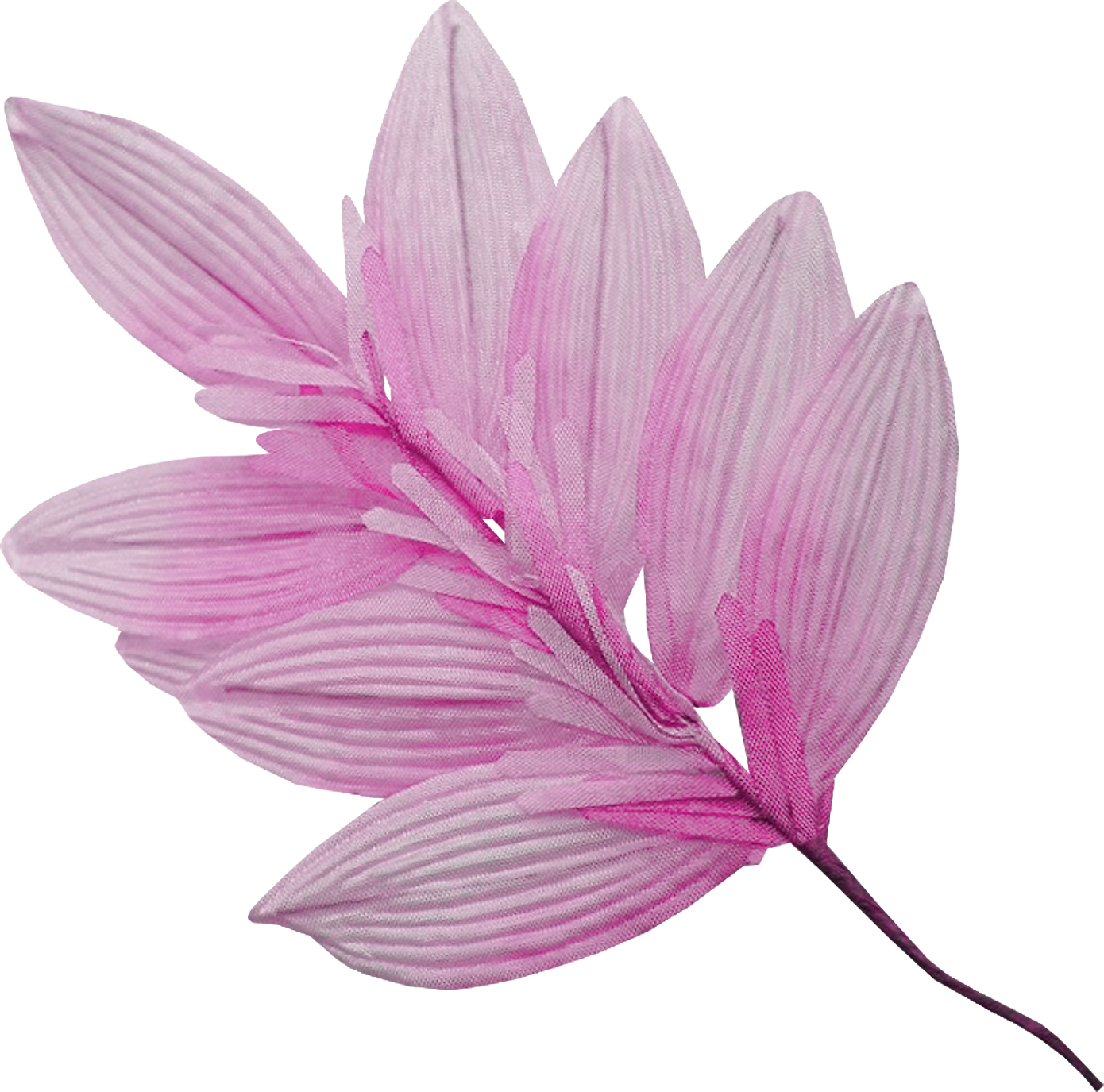 Photo: Element (22) | Colors of Fantasy album | Jossie | Fotki.com ...