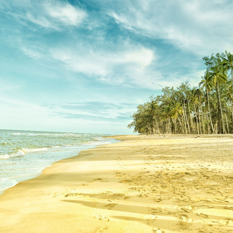 Photo: JungleZooCDA P (1) | JungleZooCDA album | Jossie | Fotki.com ...