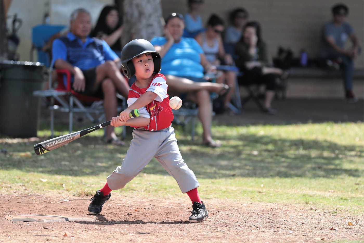 Photo: AM4I8292 (2) | Hawaii Diamond Head Pinto Baseball album ...