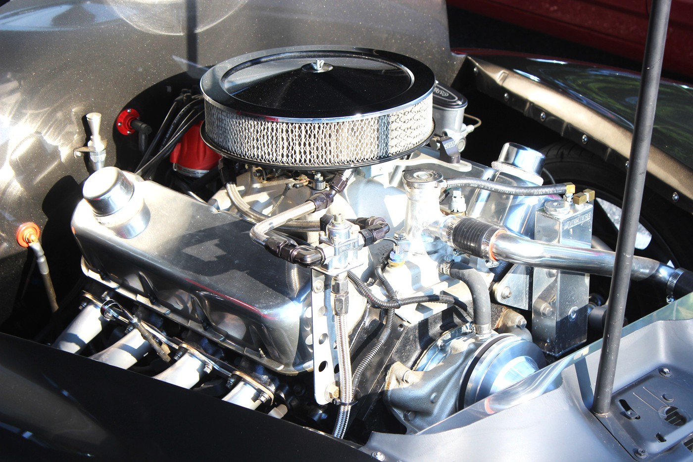 Frederick MVA show album | Lyle Willits | Fotki.com, photo and video ...