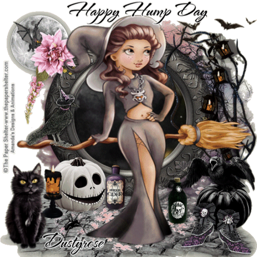 HUMP DAY album | Dustyrose | Fotki.com, photo and video sharing made easy.