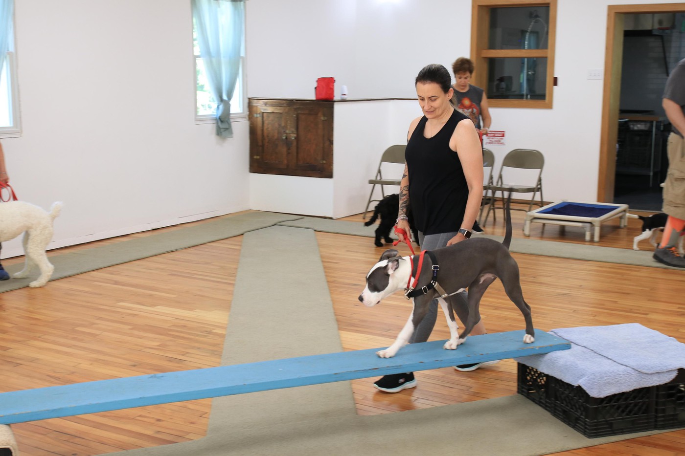 Photo: 2024-06-08 Plank Walk S1 (52) | Ringwood-06-15-2024-S1 album ...