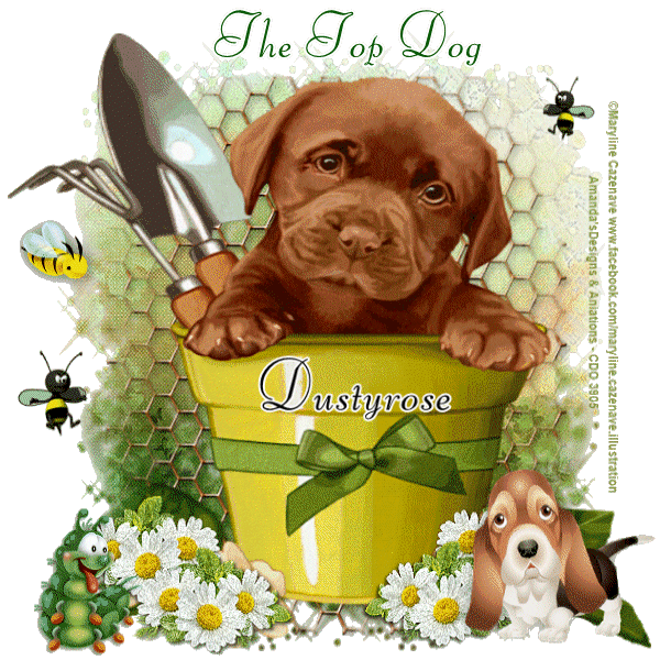 Photo: ineCazenaveGardenPupTopDogDRvi-vi | Top Dog album | LynMarie ...