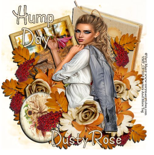 Public Home | Dustyrose | Fotki.com, photo and video sharing made easy.