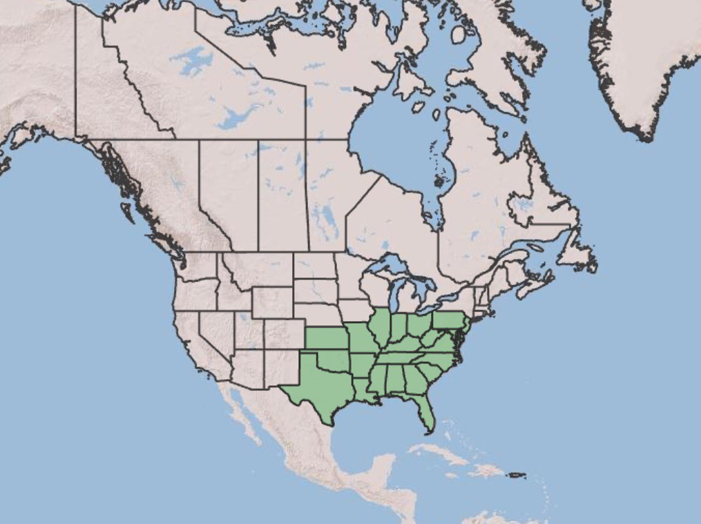 Photo: Passiflora Distribution Range | LT Write Passiflora Incarnata ...